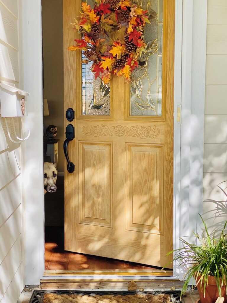 Changing a Door: A Complete Guide to a Perfect Upgrade | GFD Homes