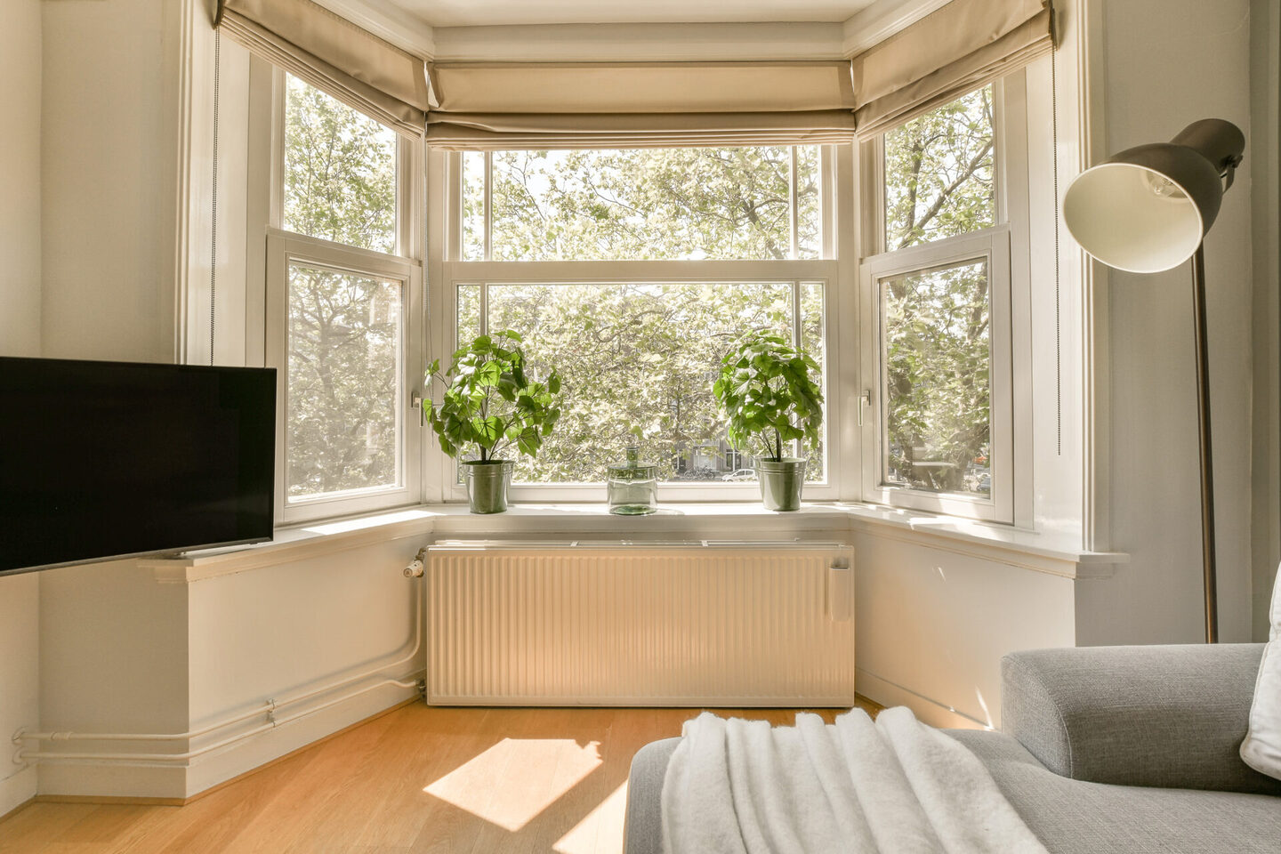 Bay Window Dimensions: Find the Perfect Fit for Your Home | GFD Homes